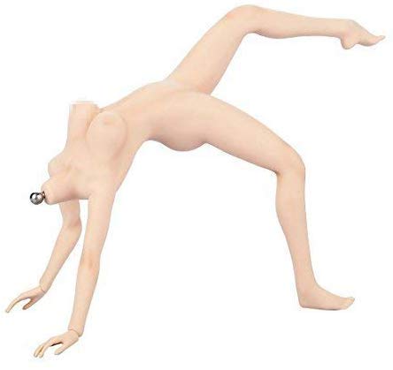 OBEST TBLeague Super-Flexible Female Pale Seamless Doll Body 1/6 Figure 28 Points of Artculation with Stainless Steel Skeleton(No - Head Sculpt Version and Clothes) (S07c)