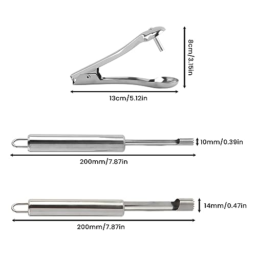 CALIDAKA Cherry Pitter Tool, 4PCS Stainless Steel Pitter Tool, Portable Cherry Remover Olives Pitter Tool, Kitchen Pitter for Cherry, Olives, Hawthorn, Red Date