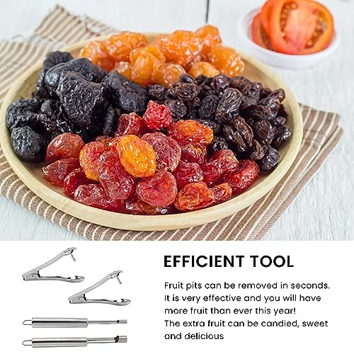 CALIDAKA Cherry Pitter Tool, 4PCS Stainless Steel Pitter Tool, Portable Cherry Remover Olives Pitter Tool, Kitchen Pitter for Cherry, Olives, Hawthorn, Red Date