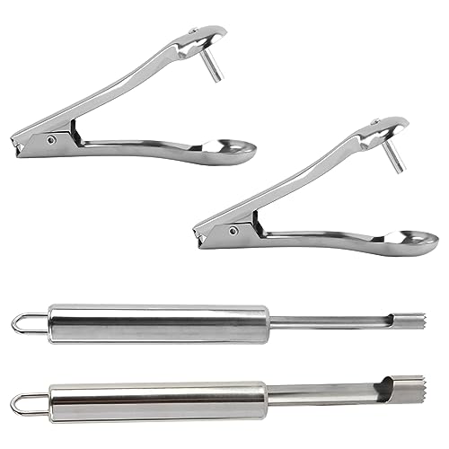 CALIDAKA Cherry Pitter Tool, 4PCS Stainless Steel Pitter Tool, Portable Cherry Remover Olives Pitter Tool, Kitchen Pitter for Cherry, Olives, Hawthorn, Red Date