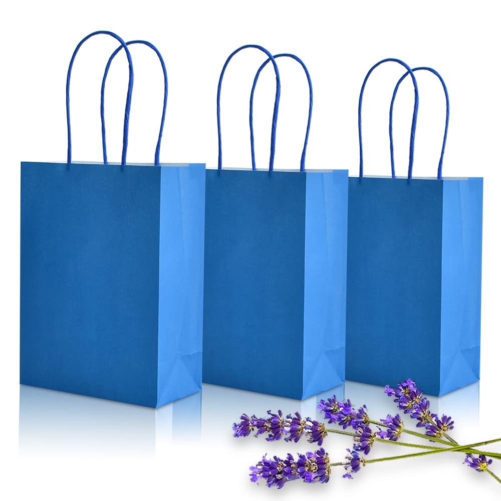 BEISHIDA Small Gift Bags Party Favor Bags Paper Gift Bags Blue Gift Bags with Handles Birthday Gift bags (6.5 x 4.5 x 2.5 Inch, 20PCS)