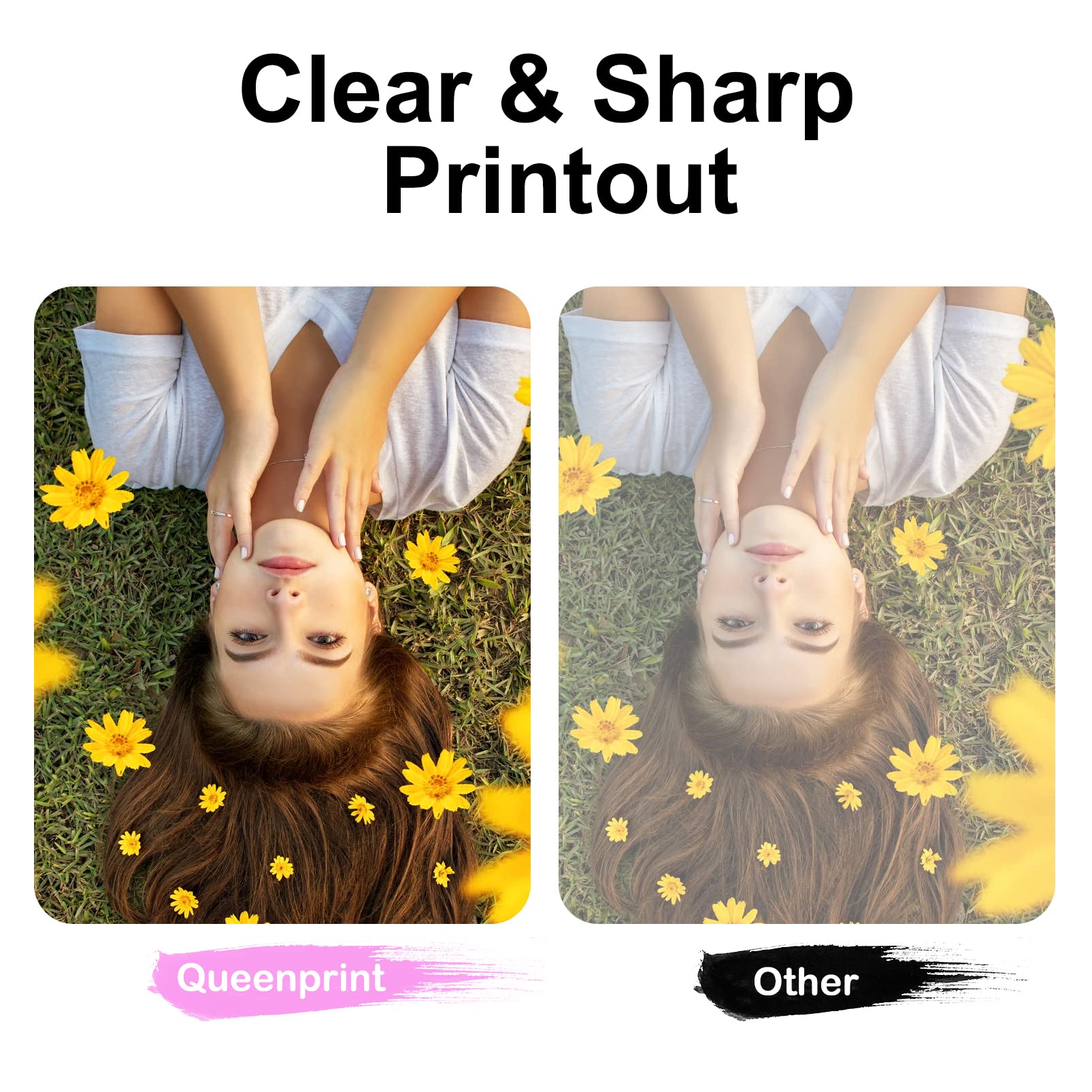 QUEENPRINT for HP 67XL Ink Cartridges Replacement for HP 67 67XL 67 XL Combo Pack for Envy Pro 6055 6455e 6055e 6400 6452 6052 6455 DeskJet 4100 2700 2742e 2755e 2752 4152 4155e (Black Tri-Color)