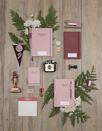 DesignWorks Ink Standard Issue Pink Planner Notebook No. 3 Journal with Lined Pages, Elastic Closure, Pen Holder, and 3 Ribbon Marker for Work, Writing, Journaling, 6.75" x 8.5"