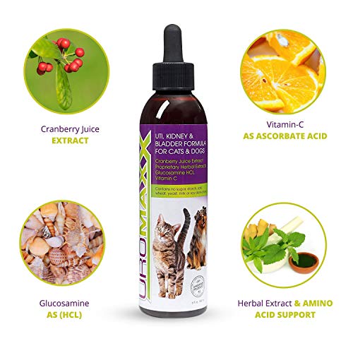UroMAXX Urinary Tract, Kidney & Bladder Formula for Cats and Dogs, 6 oz Bottle. Premium Pack