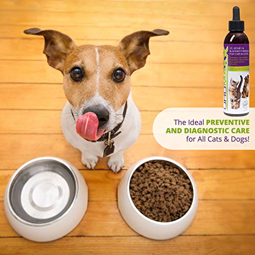 UroMAXX Urinary Tract, Kidney & Bladder Formula for Cats and Dogs, 6 oz Bottle. Premium Pack