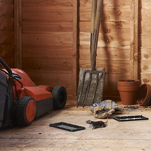 BLACK+DECKER Mouse Trap & Mouse Traps Indoor for Home- Heavy- Duty Rat Trap- Sticky Snake Trap- 12 Pre-Baited Glue Traps for Rodents, Insects, Spiders & Other Vermin