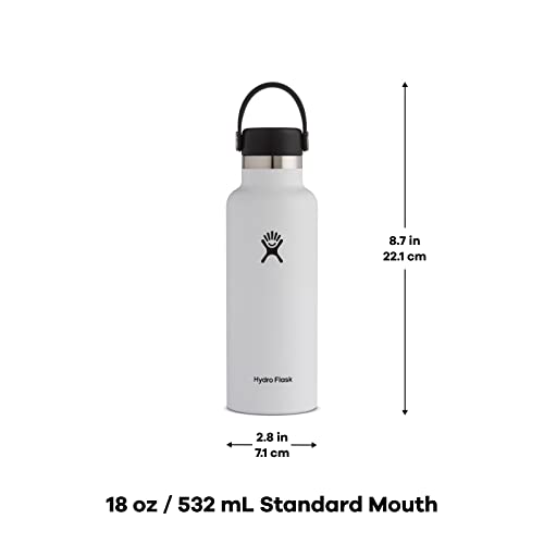 Hydro Flask 18 oz Standard Mouth with Flex Cap Stainless Steel Reusable Water Bottle Dew - Vacuum Insulated, Dishwasher Safe, BPA-Free, Non-Toxic