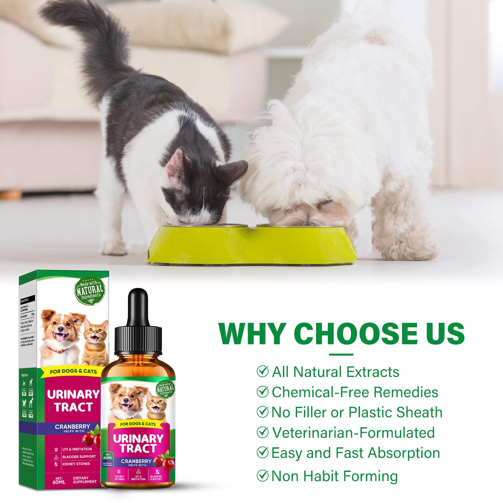 Fancy Pets Cat & Dog Urinary Tract Infection Treatment, Natural UTI Care Drops, Kidney and Bladder Supplement, Prevention Incontinence & Bladder Stones, 60ml (2-AS-RT-UY)
