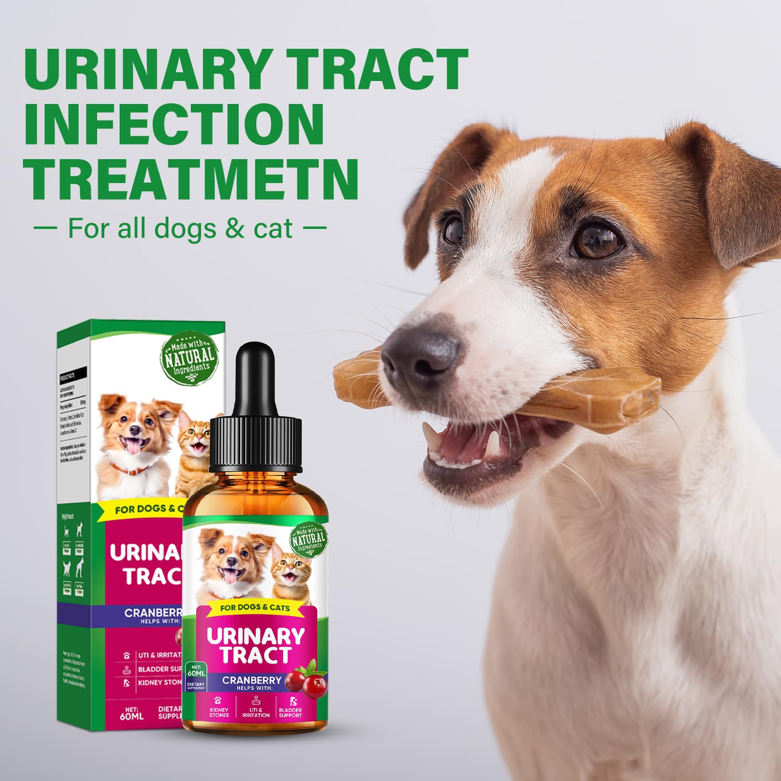 Fancy Pets Cat & Dog Urinary Tract Infection Treatment, Natural UTI Care Drops, Kidney and Bladder Supplement, Prevention Incontinence & Bladder Stones, 60ml (2-AS-RT-UY)