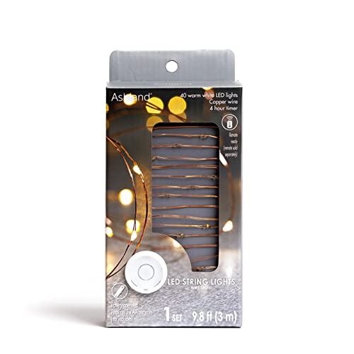 Ashland Michaels 40ct. Warm White Copper Wire LED String Lights