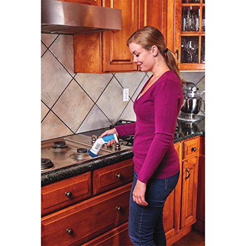BLACK+DECKER Power Scrubber Brush (PKS160)