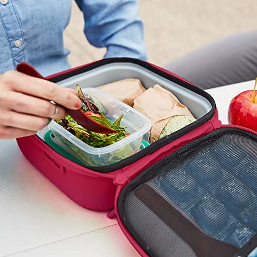 Hydro Flask Small Insulated Lunch Box Bilberry
