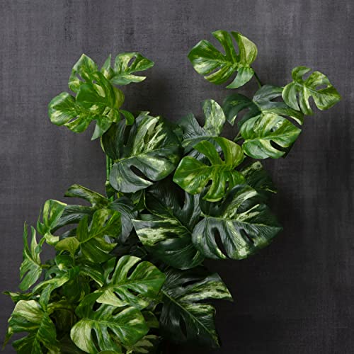 Ashland Michaels Split Hanging Philo Bush