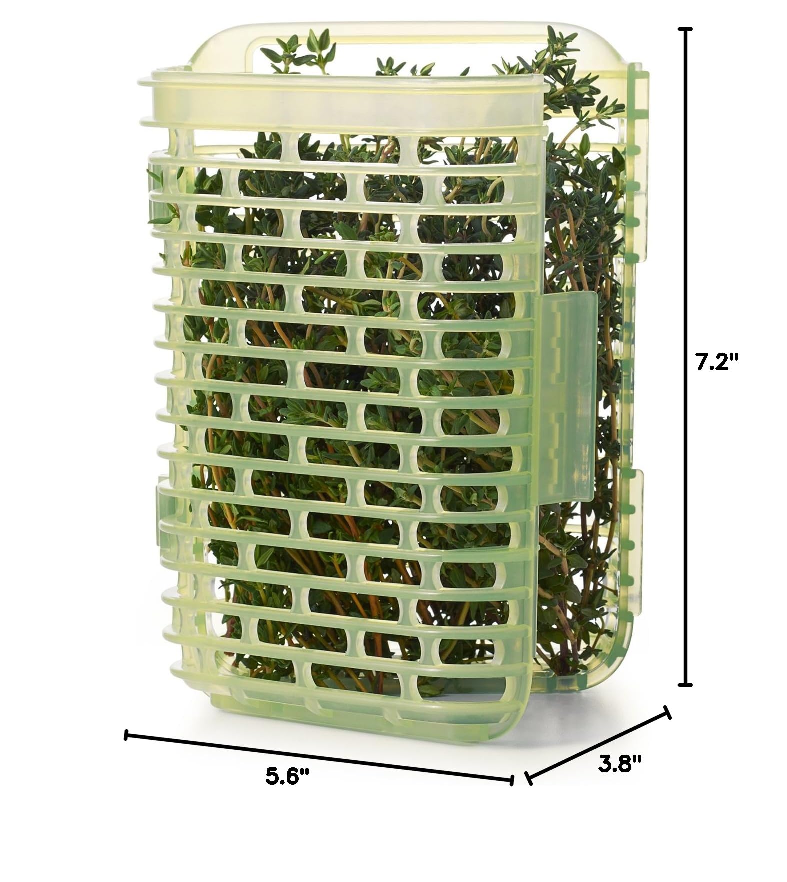 OXO Good Grips GreenSaver Herb Keeper- 1.8 QT