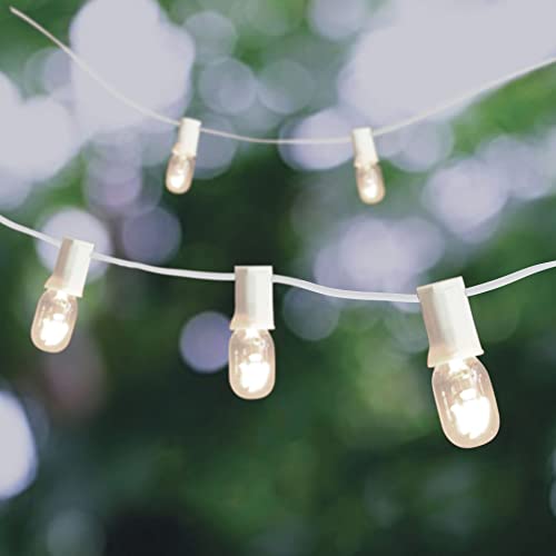 Ashland Michaels 20ct. Creative Collection⢠Shimmer Lights Vintage Edison String Lights