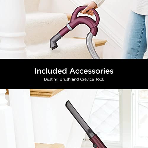 Shark CU520 Navigator Lift-Away XL Upright Vacuum Multi Surface Floor Cleaner with Crevice Tool, Purple (Renewed)