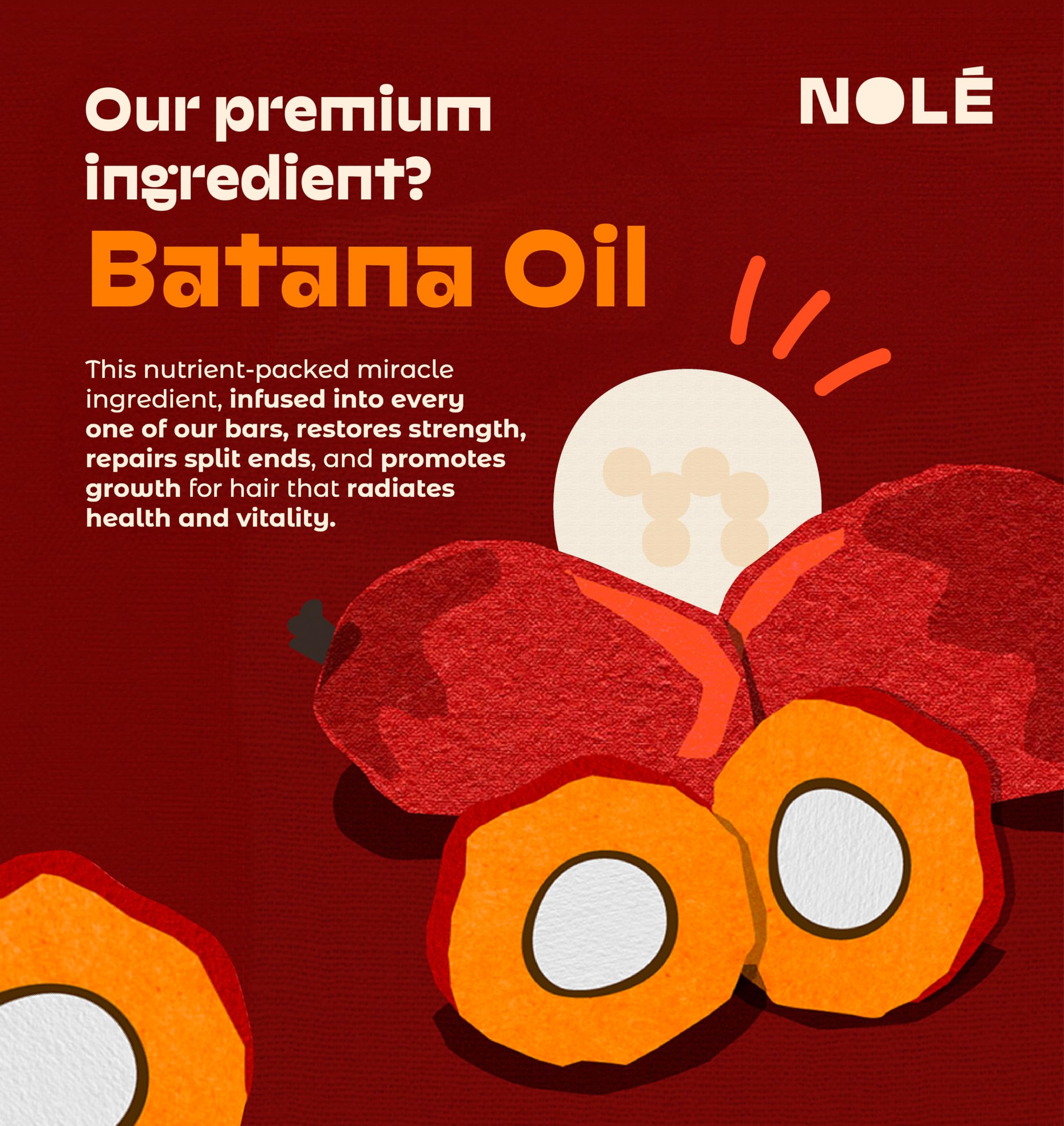 NOLE CARE Travel Size Shampoo and Conditioner Bar Set with Batana Oil - Sustainable, PH Balanced, Discovery Set, Plastic-Free, Color-Safe, Eco-Friendly, Solid Sustainable Bars, Zero Waste, 2.5 oz Bar