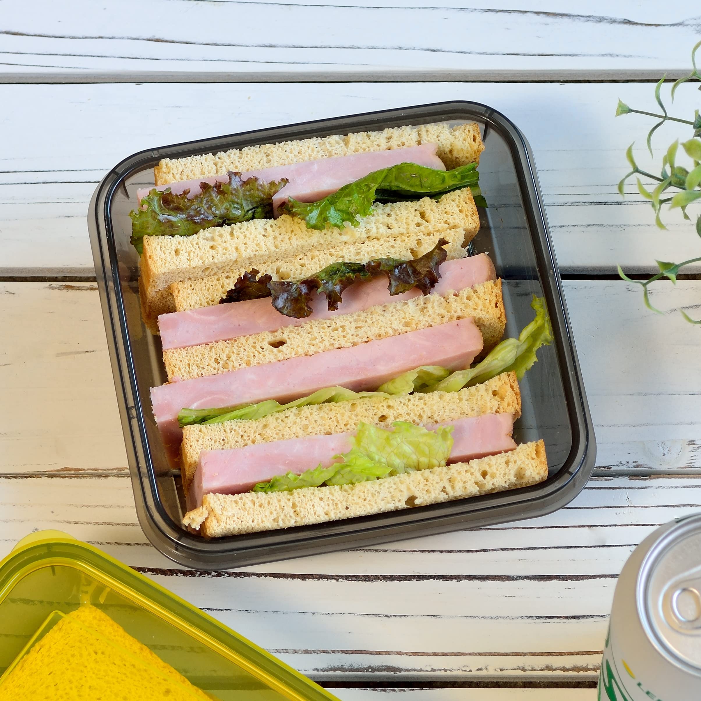 Youngever 3 Pack Sandwich Containers for Lunch Box, Reusable Food Storage Containers, Meal Prep Containers (Single Sandwich 20 Ounce)