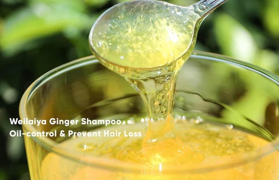 WEILAIYA White Ginger Prevent Hair Loss Shampoo 14g and Conditioner 14g Mini sample/travel/test try set for Normal/Oily Hair & Scalp