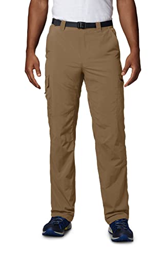 Columbia Men's Silver Ridge Cargo Pant, Delta, 36W x 32L