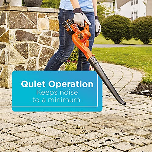 BLACK+DECKER 40V MAX* Cordless Sweeper (LSW40C)