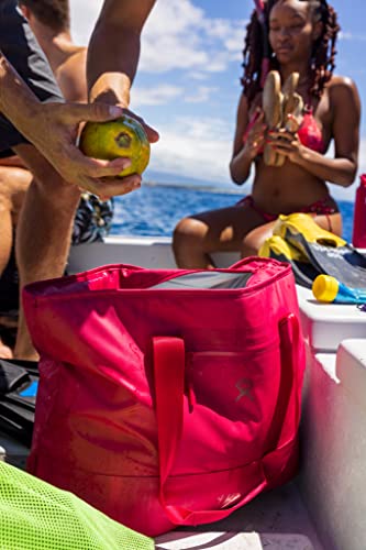 Hydro Flask Tote - Reusable Cooler Lunch Travel Bag - Waterproof, Insulated, Collapsable, BPA-Free, Non-Toxic
