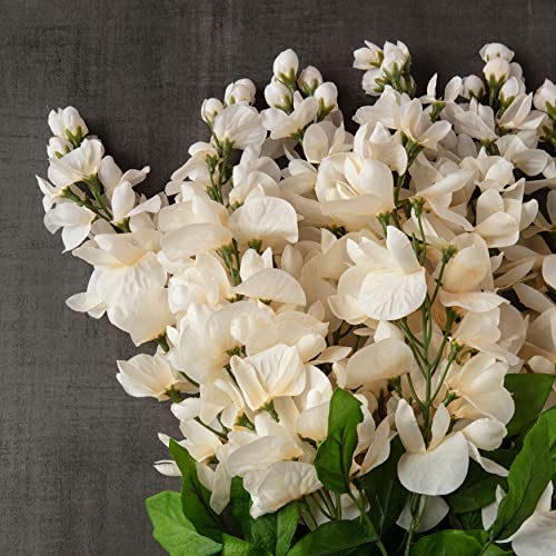 Ashland Michaels Cream Wisteria Bush