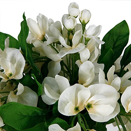 Ashland Michaels Cream Wisteria Bush