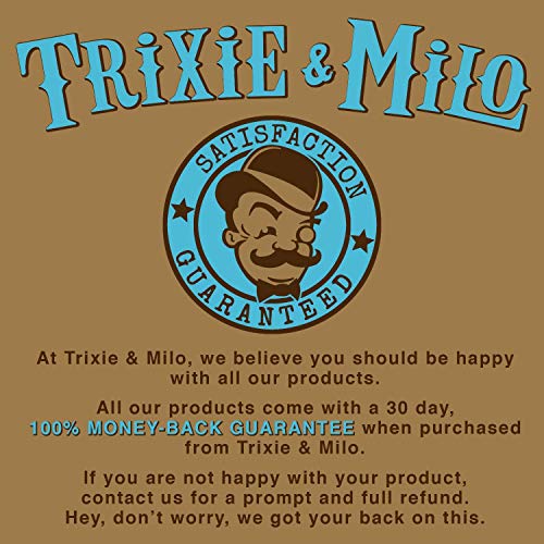 Lucky Girl 8 Oz Stainless Steel Hip Flask for Liquor - Comes in a Gift Box - Leakproof Design - Easy to Clean - 3.75β X 5.75β - By Trixie & Milo