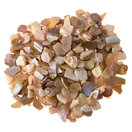 Ashland Michaels Bulk 8 Pack: Natural Crushed Shells