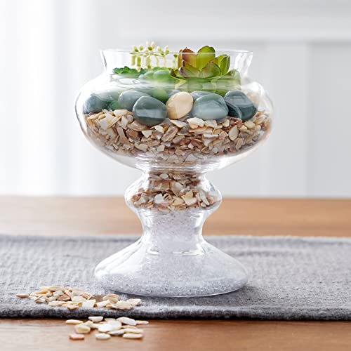 Ashland Michaels Bulk 8 Pack: Natural Crushed Shells