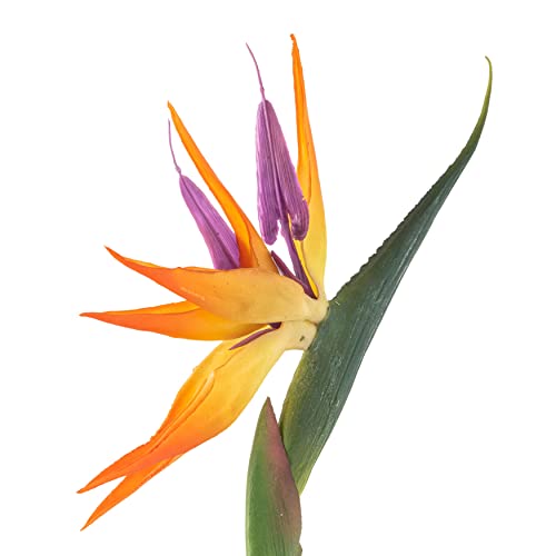 Ashland Michaels Bulk 12 Pack: Yellow Bird of Paradise Stem