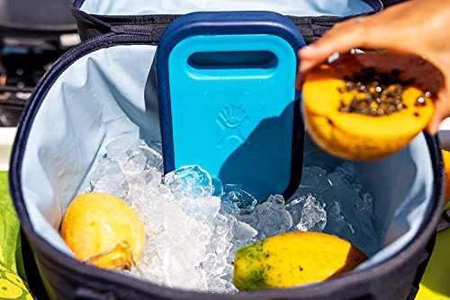 Hydro Flask 12L Carry Out Soft Cooler - Insulated Travel Bag - BlackBerry