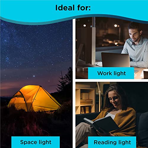 BLACK+DECKER Snake Light, Use for Book Light, Desk Light, and Work Light, 2 Settings, Flexible and Rechargeable (BDCFSL01)
