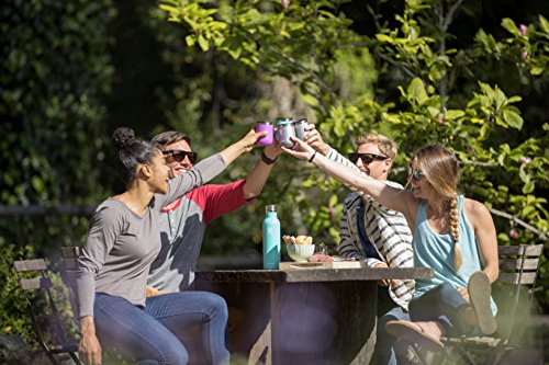 Hydro Flask 25 oz Wine Bottle - Stainless Steel & Vacuum Insulated - Leak Proof Cap - Stone