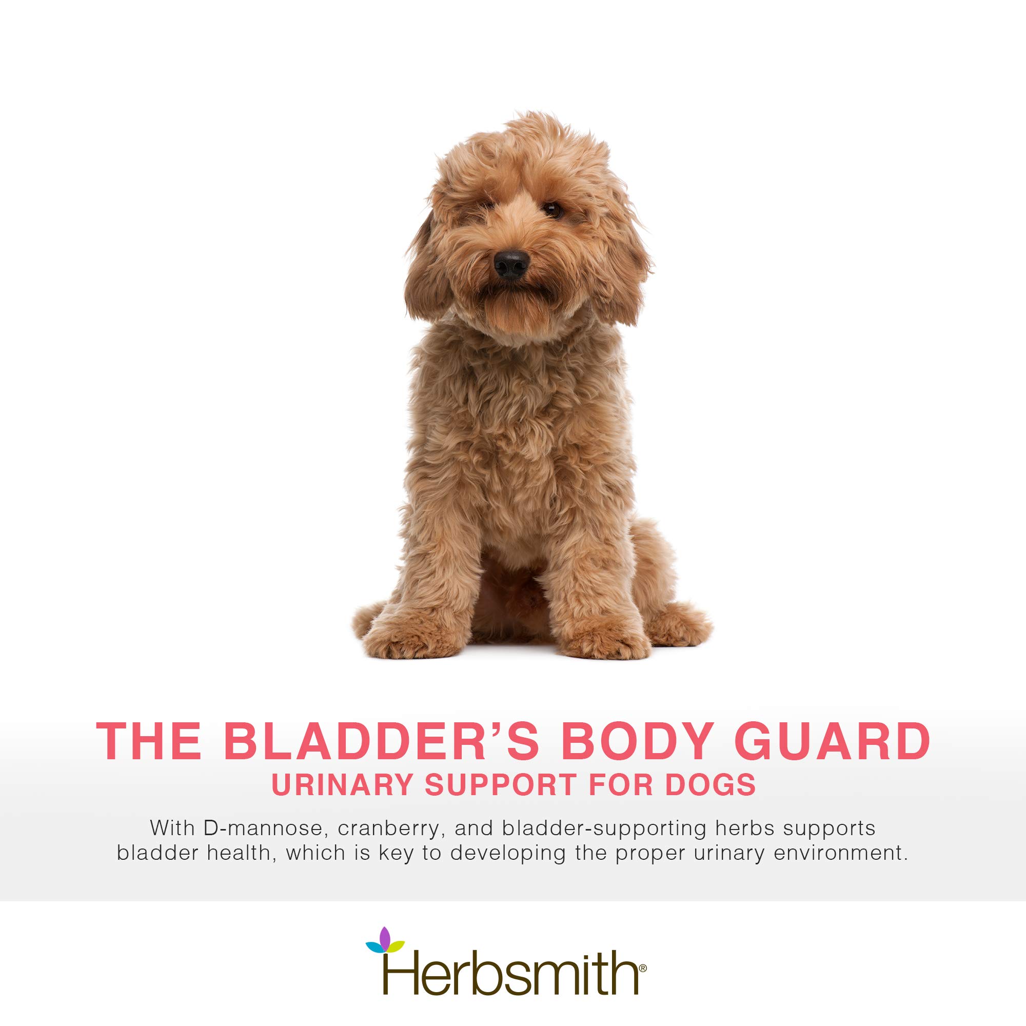 Herbsmith Bladder Care for Cats and Dogs – Maintains Urinary Health for Dogs and Cats – Dog and Cat Kidney Support – 90 Tablets