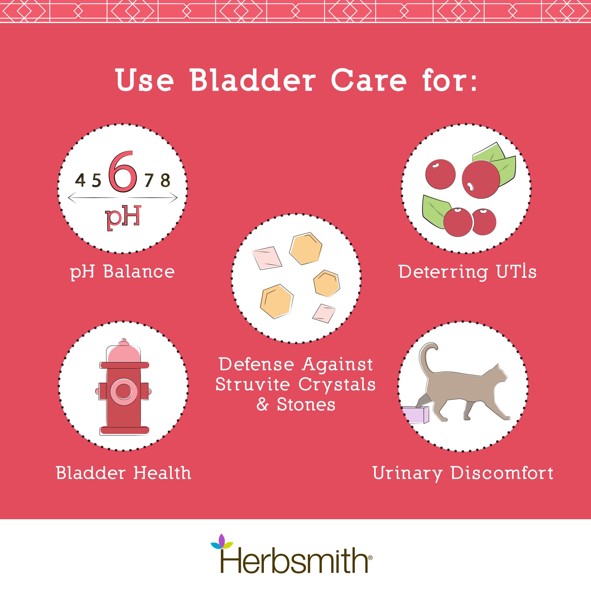 Herbsmith Bladder Care for Cats and Dogs – Maintains Urinary Health for Dogs and Cats – Dog and Cat Kidney Support – 90 Tablets