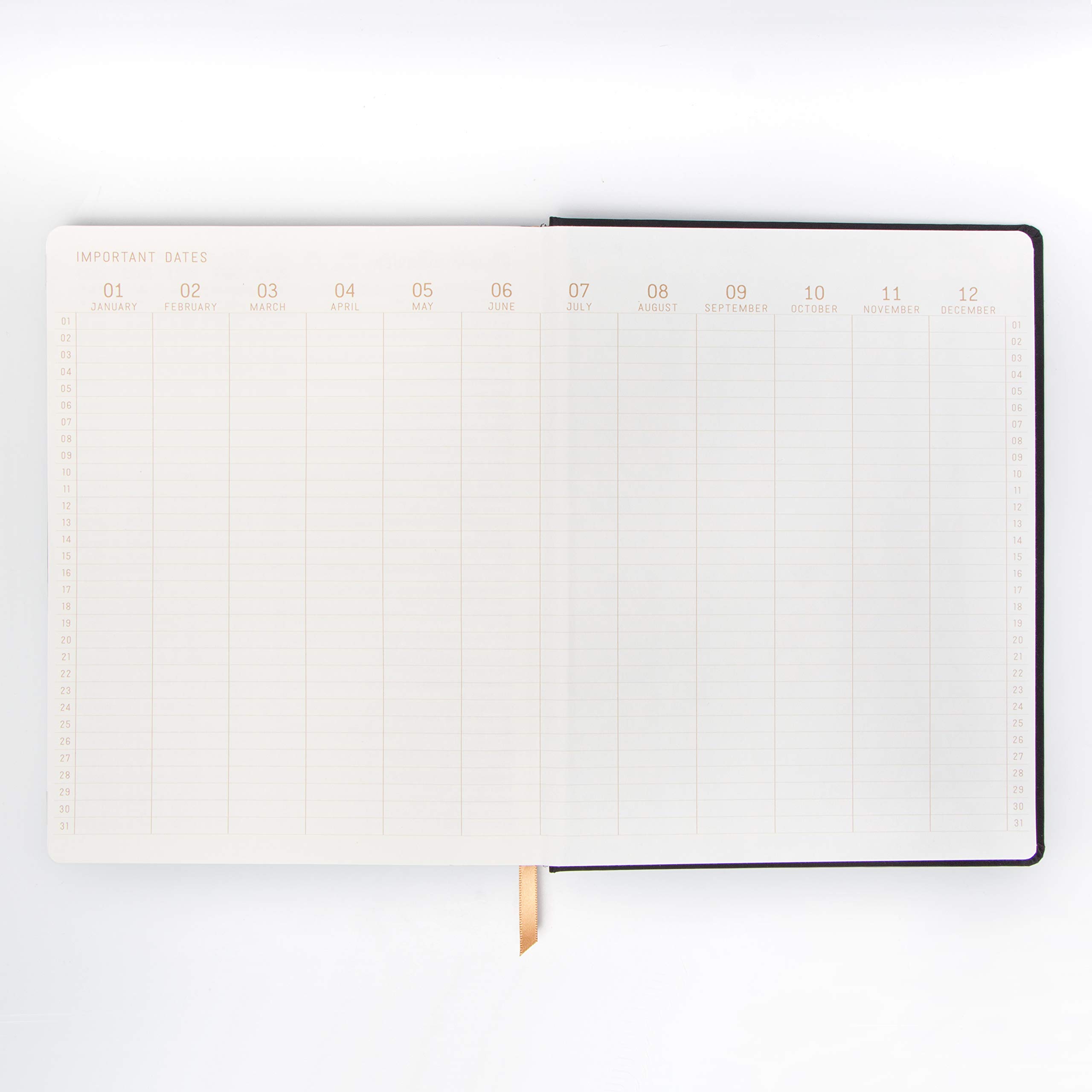 Designworks Ink Bad Ideas Black 7.25" x 10.25" Jumbo Journal Notebook with Cloth Cover, Gold Accents, Lined Pages, Ribbon Marker for Work, Writing, Journaling