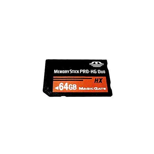 LICHIFIT 64GB Memory Stick MS Pro Duo Memory Card for Sony PSP High-Speed High Capacity