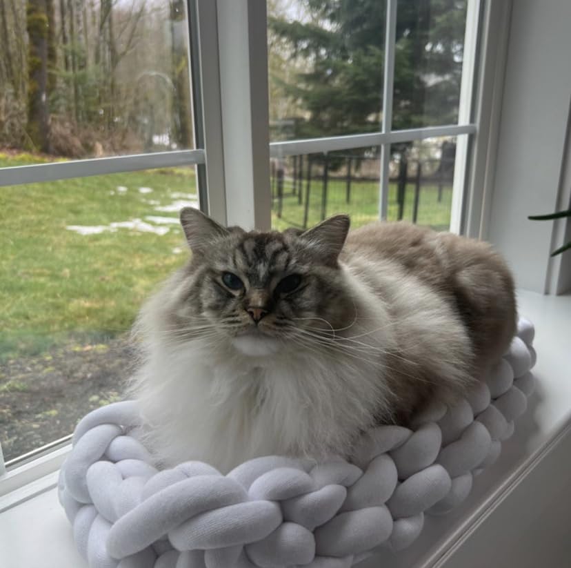 Handcrafted Chunky Cotton Yarn Cat Bed - Window Sill, Shelf, or Anywhere | Washable, Vegan, All-Season Comfort, White Cat Bed