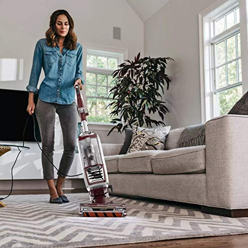 Shark ZU881 DuoClean with Self-Cleaning Brushroll Powered Lift-Away Upright Vacuum, Crevice and Pet-Multi Tools (Renewed) (Shark ZU881-Cinnamon)