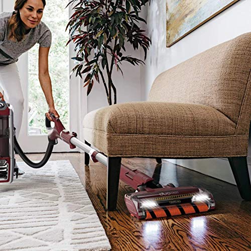 Shark ZU881 DuoClean with Self-Cleaning Brushroll Powered Lift-Away Upright Vacuum, Crevice and Pet-Multi Tools (Renewed) (Shark ZU881-Cinnamon)
