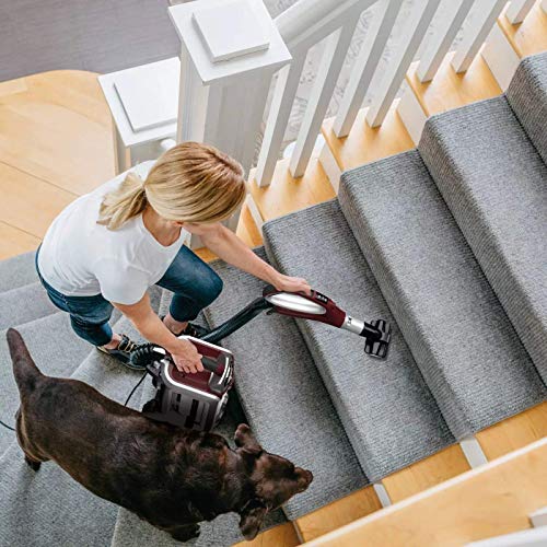 Shark ZU881 DuoClean with Self-Cleaning Brushroll Powered Lift-Away Upright Vacuum, Crevice and Pet-Multi Tools (Renewed) (Shark ZU881-Cinnamon)