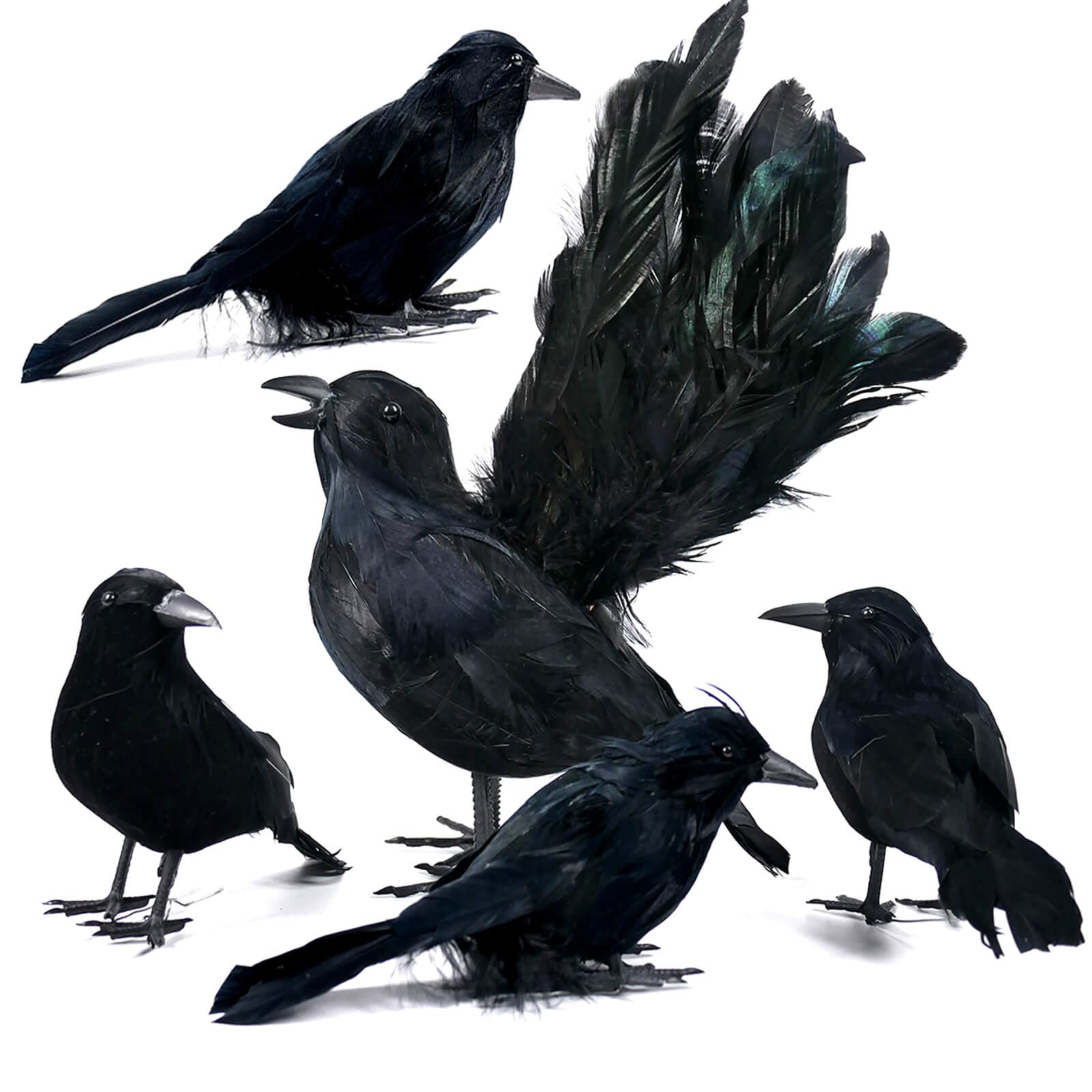 Orgrimmar 5 PCS Black Feather Crows Realistic Handmade Ravens Halloween Party Decor Props for Indoor Outdoor Decorations Birds (Black, 5 Packs)