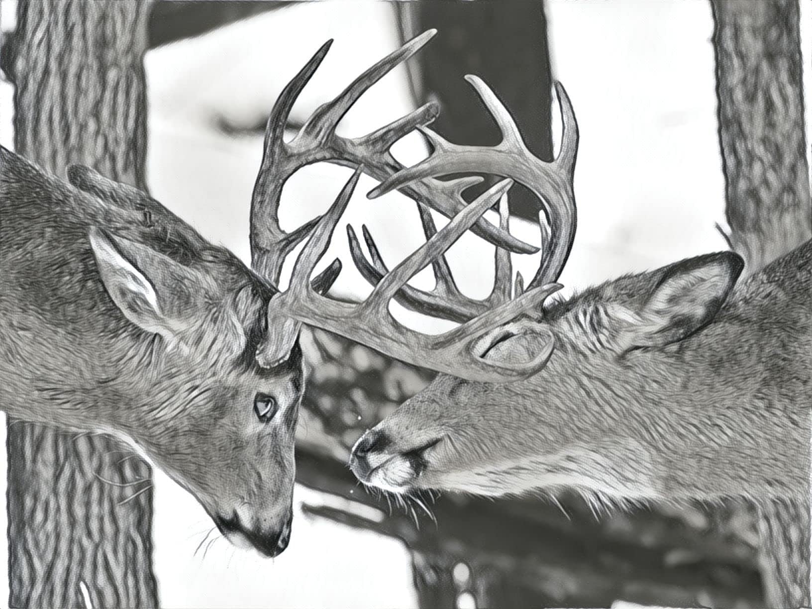 First Deer Cheer