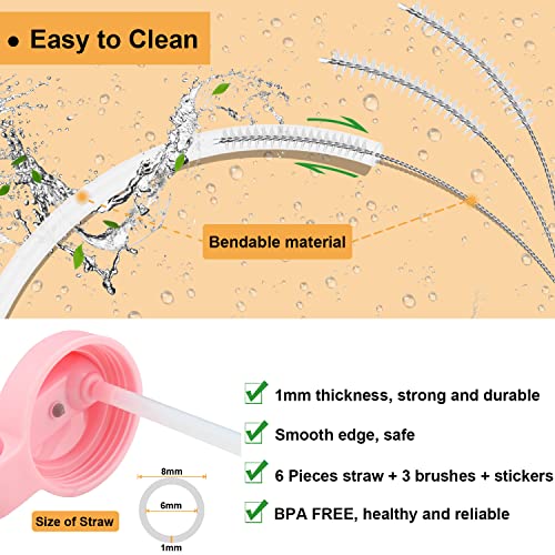 Desing Wish 6 PCS Replacement Straws Compatible with Hydro Flask/Stanley IceFlow Wide Mouth Bottle Straw Lid, BPA Free Water Bottle Straw for Wide Mouth Straw Cap with 3 Brushes and Some Stickers