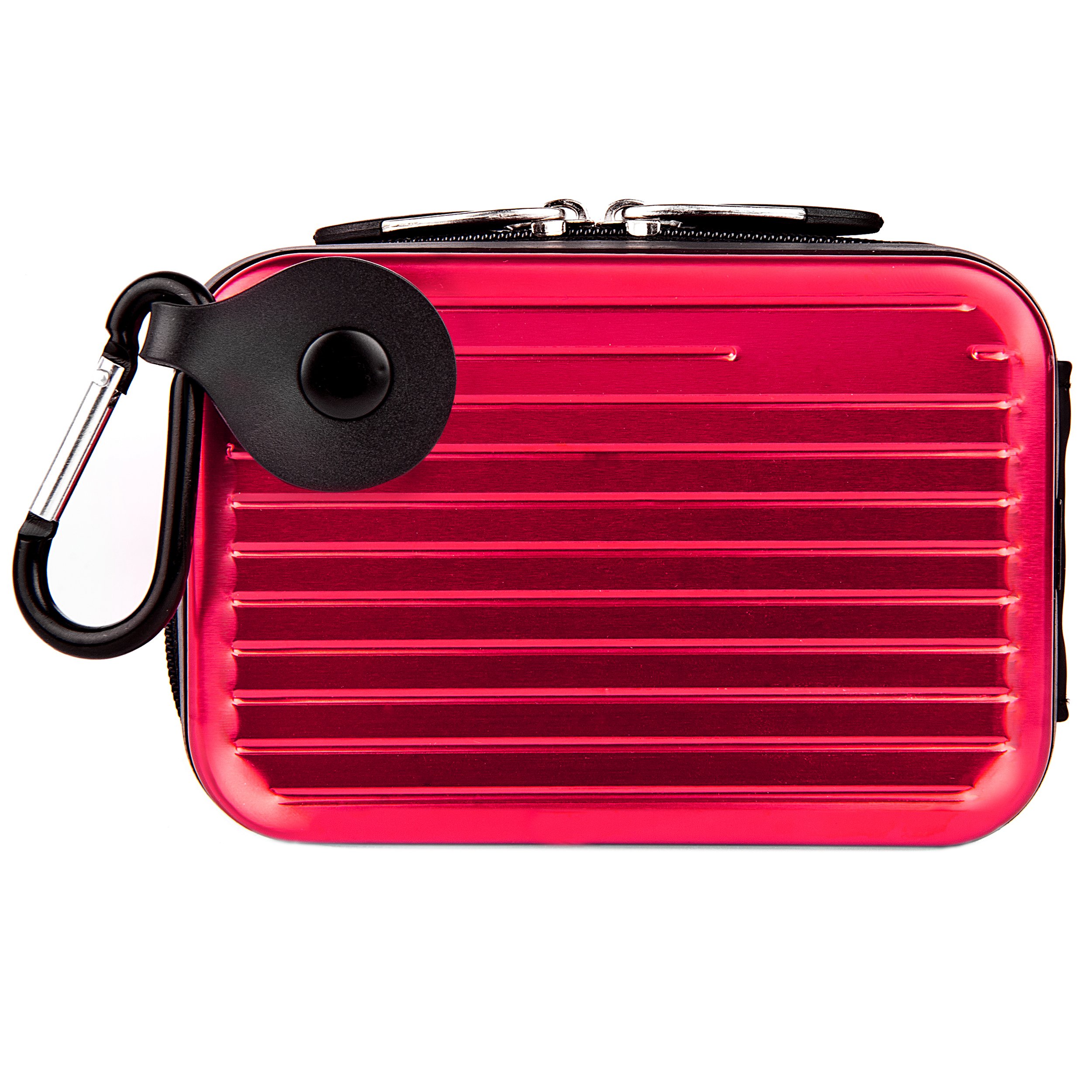 VanGoddy Pascal Metal Carrying Hard Case for Sony Cyber Shot DSC Model W560 W570 W610 W620 W650 W690 W710 W730 W800 Point and Shoot Digital Cameras (Pink)
