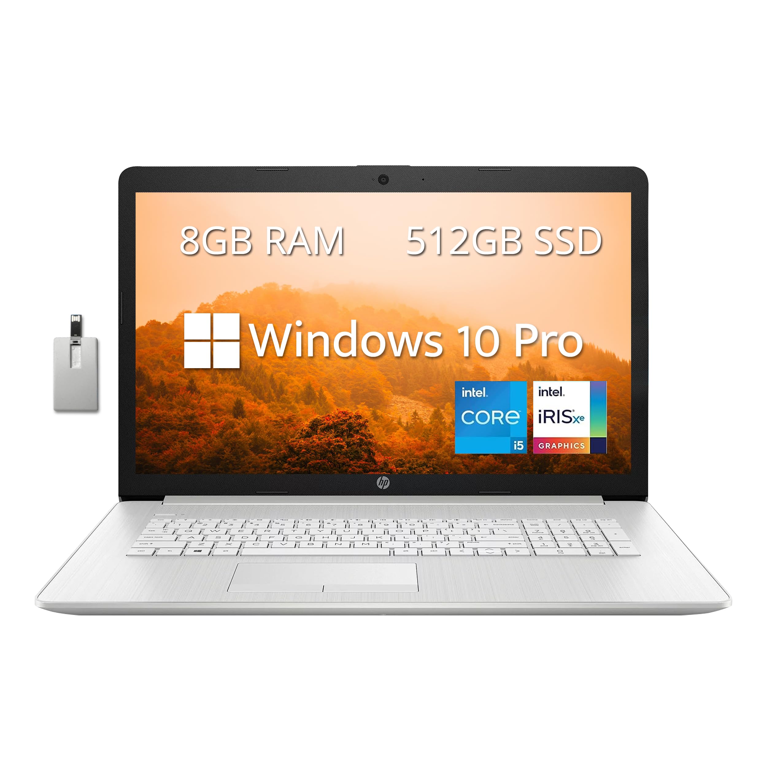 HP 2022 17.3" FHD Business Laptop, 11th Gen Intel Core i5-1135G7(Beats Intel i7-1065G7), 8GB RAM, 512GB PCIe SSD, Intel Iris X Graphics, Backlit Keyboard, Bluetooth, Win 10 Pro, Silver, 32GB USB Card