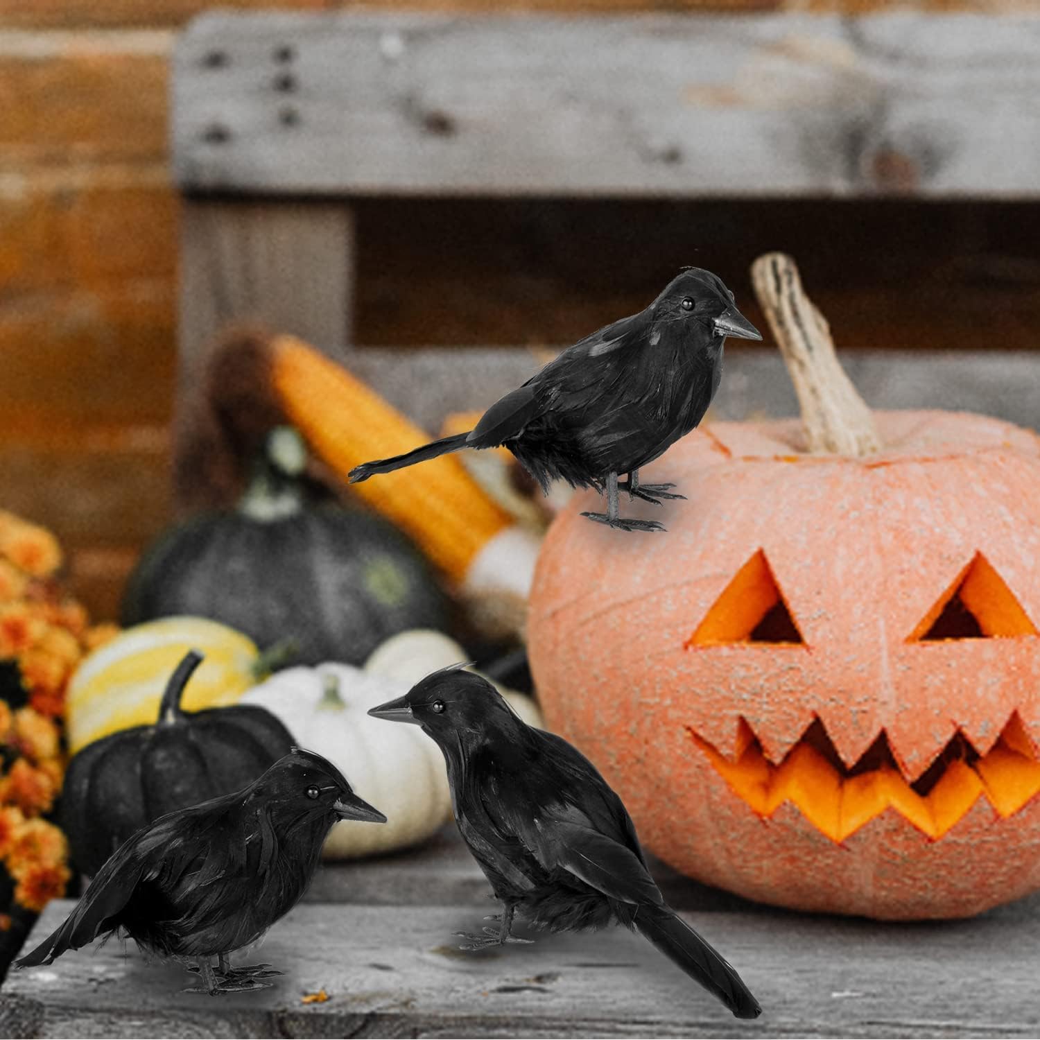 JOYIN 6 Pcs Crow Raven Halloween Decoration Indoor Outdoor Decor, Black Fake Crows Ravens Bird Props Haunted House Graveyard Cemetery Yard Table Decor Halloween Party Favors Desk Trees Walls Windows