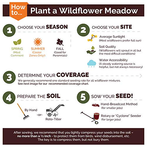 UtopiaSeeds Blue Wildflower Seed Mix - Attracts Hummingbirds and Butterflies - Easy to Grow